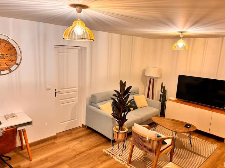 Perle Insulaire -T2 Cosy-vue Exceptionnelle - Saint-Denis