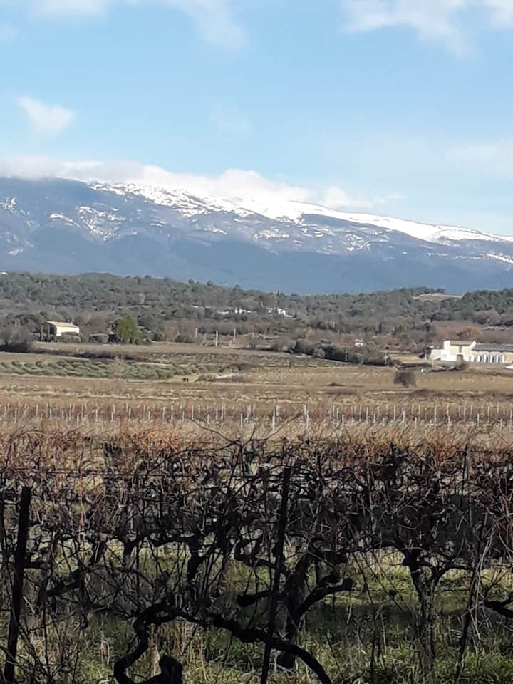Agréable Maison De Village Avec Cours Privée - France