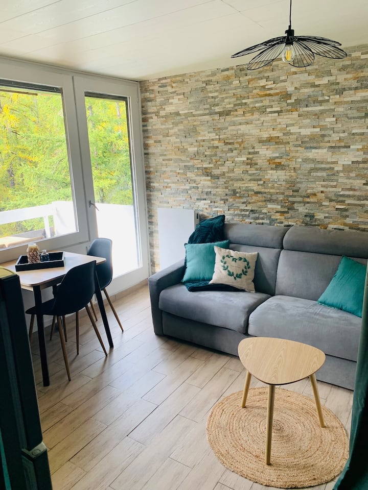 Appartement Cosy Départ Et Arrivée Ski Au Pied - Vars