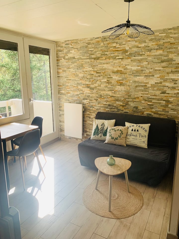 Appartement Cosy Départ Et Arrivée Ski Au Pied - Ceillac