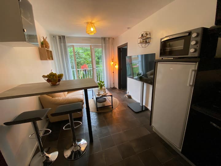 Appartement Type 2 Refait à Neuf - Lorient