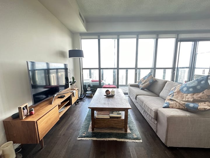 Full Condo In Downtown Toronto - Toronto, ON