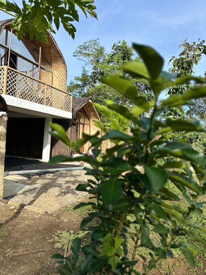 Bali Blueprint - Majayjay