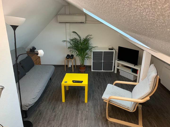 Studio Cosy Sous Les Toits - Strasburgo