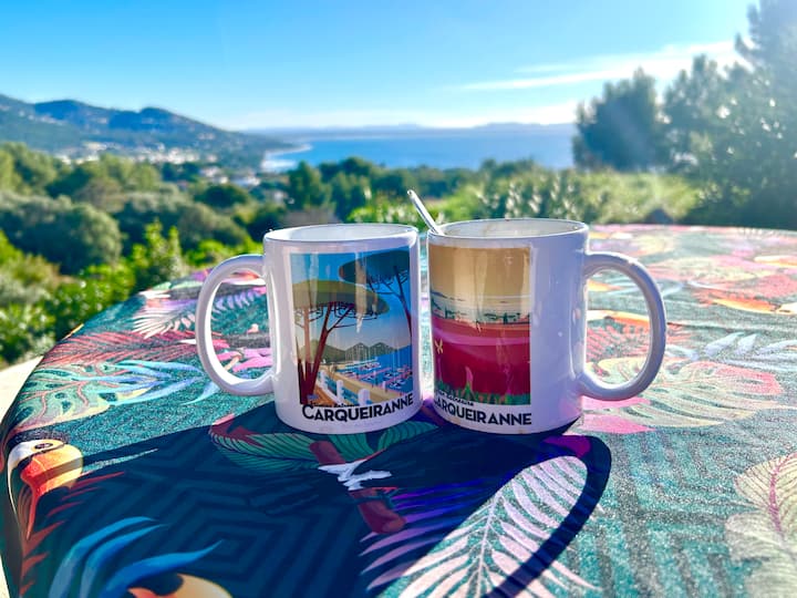 Studio Climatisé Rez De Jardin Vue Mer Parking - Carqueiranne