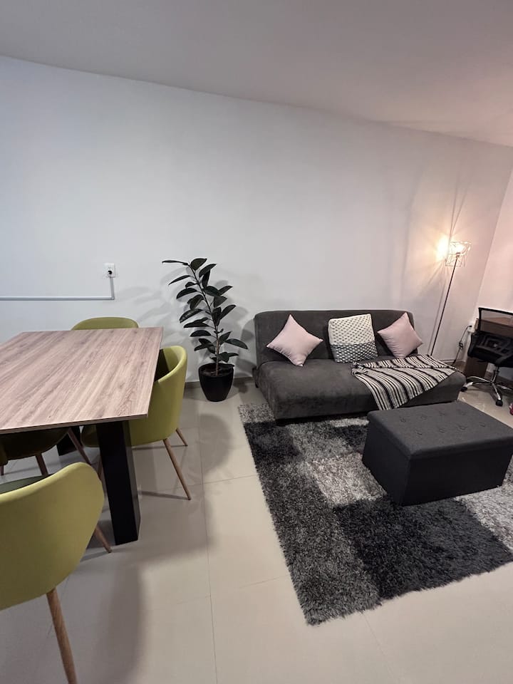 Departamento Cerca De Plaza Dorado - San Luis Potosí