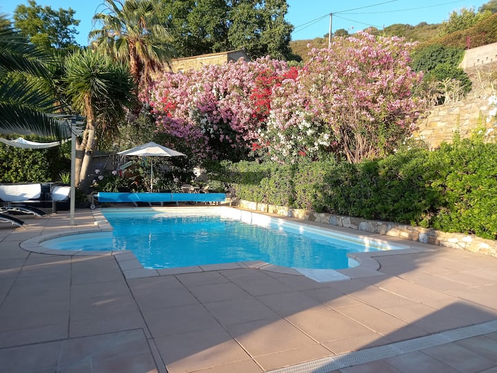 Charmant Petit Studio - Cap Corse