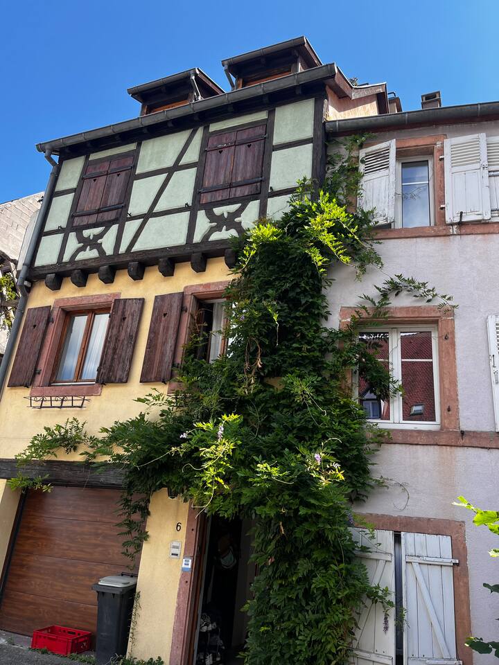 Vue 360 Degrés / Garage - Kaysersberg
