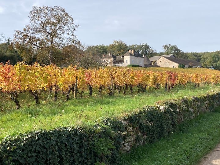 Gîte Chaleureux Au Cœur Des Vignes De Mercurey - Dracy-le-Fort