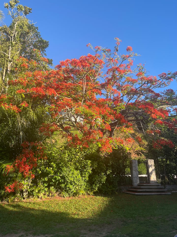 Casa De Férias Perfeita! - Salvador de Bahía