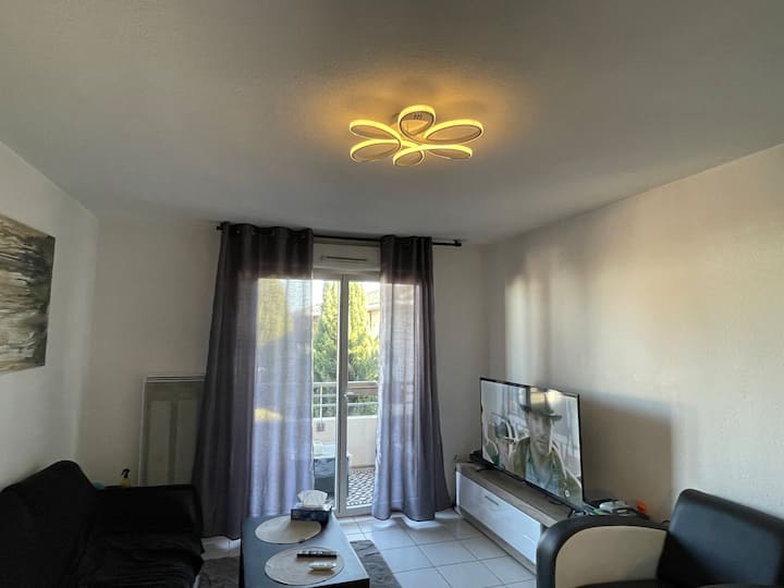 Logement Cosy Et Pratique - Muret