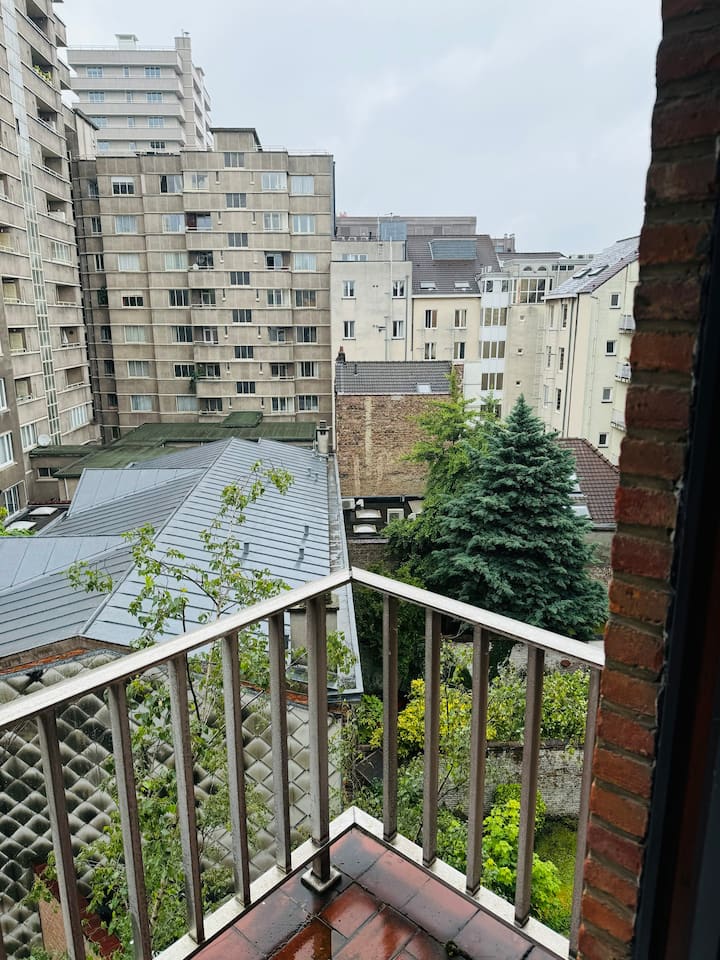 Bruxelle Appartement - Brussels