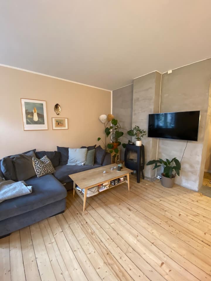 Lys Og Sentral Leilighet - 2 Soverom - Oslo