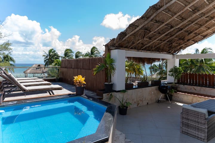 Ocean View Penthouse In The Main Center - Playa del Carmen