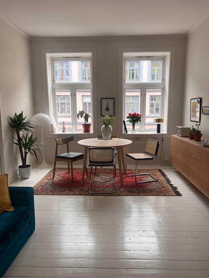 Nydelig Leilighet I Gamlebyen, Oslo - Oslo