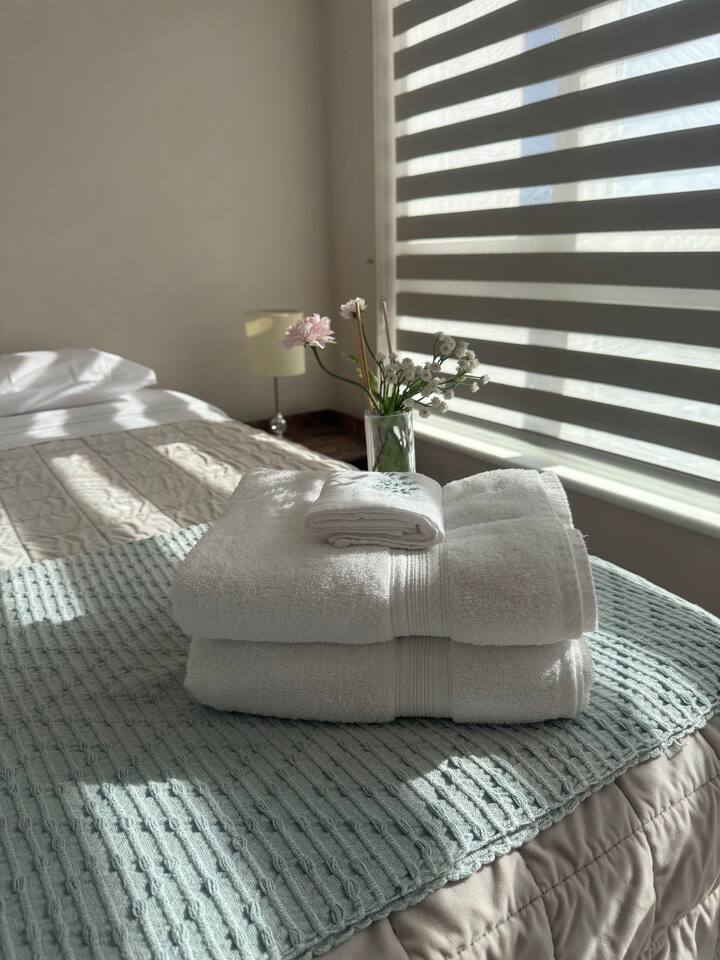 Amoblado 2d Frente Mall Trébol, Concepción - Concepción, Chile