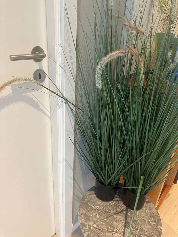 Til Kristiansand I Juli? - Kristiansand