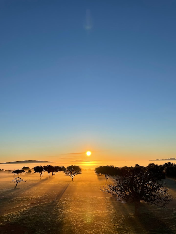 Ca Na Ciara - Manacor