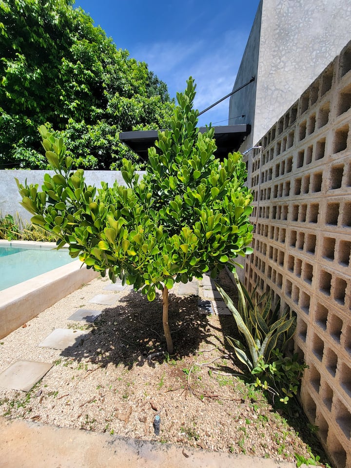 Casa Serena Y Calma Con Piscina Y Cochera - Mérida
