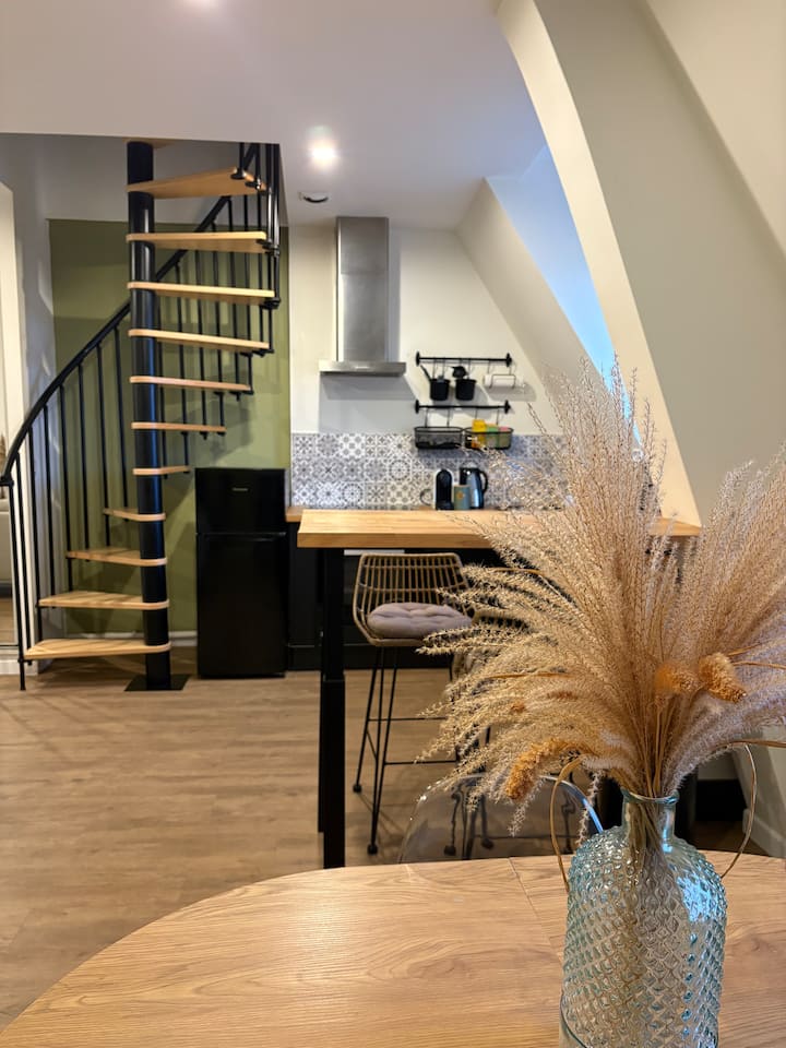 Charmant Duplex Nancéien - Nancy Gare - Nancy