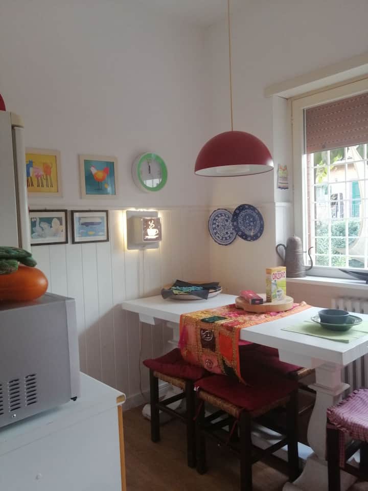 Homeshanti 1 - Frascati