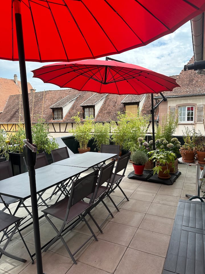 Chambre Zen Dans Le Vignoble - Riquewihr