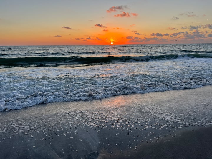 Beach Lovers Dream - Longboat Key, FL