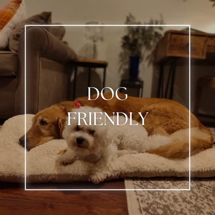 Hot Tub! Berkshires: Dog & Family Friendly! - Berkshire County, MA