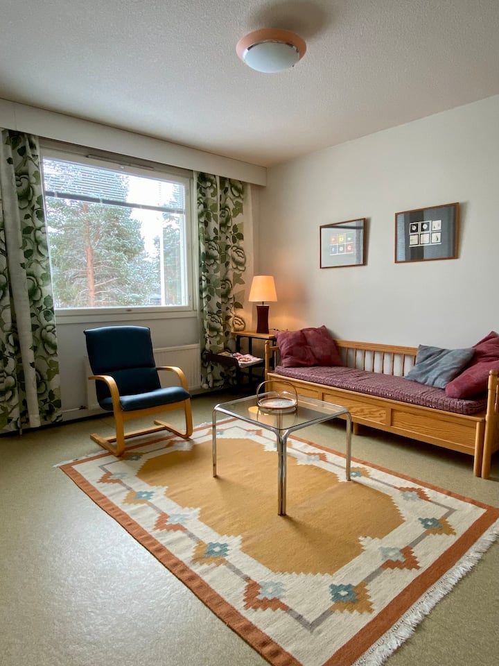Retro Studio In Lapland - Kemijärvi