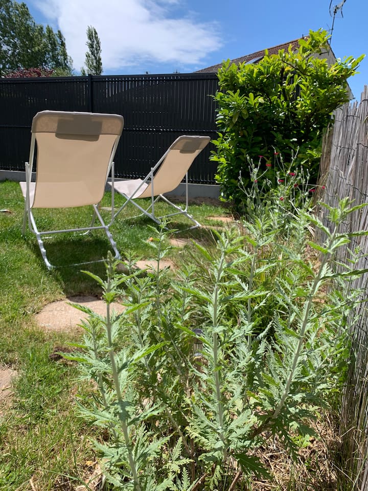 Maison T3 à Stececile Entre Le Touquet Et Hardelot - Sainte-Cécile Plage
