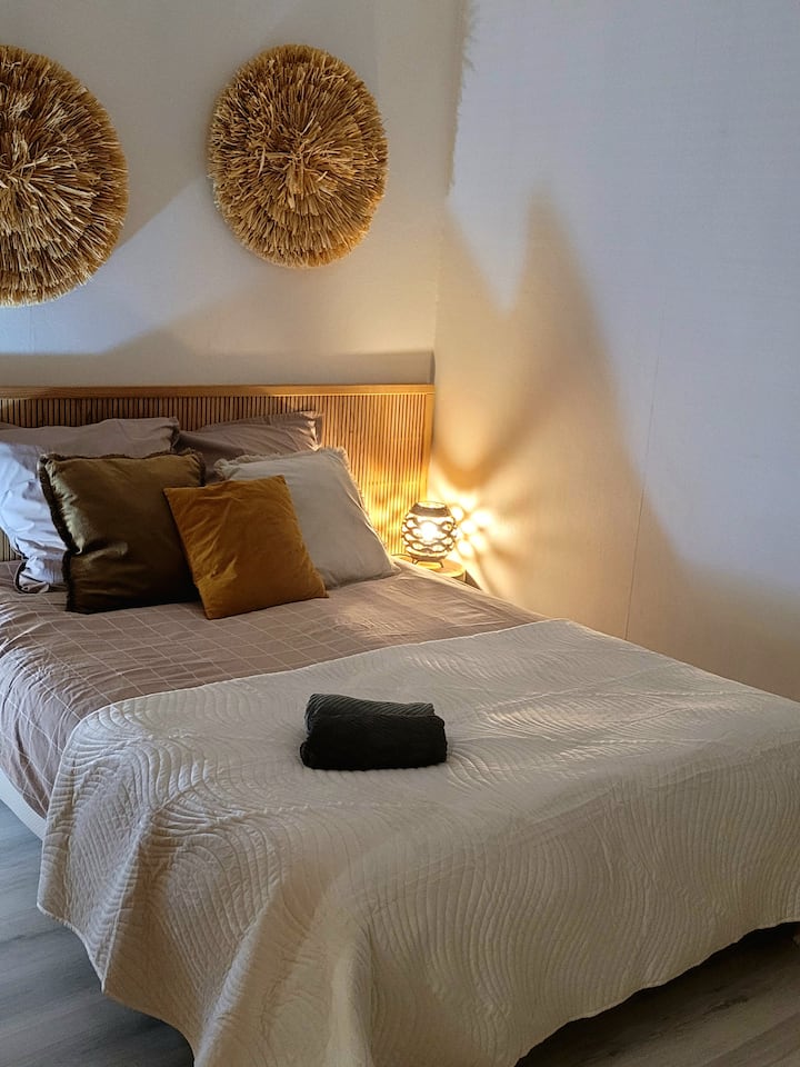 Studio Cosy Centre-ville – Parking/ Idéal 2 Pers - Castres