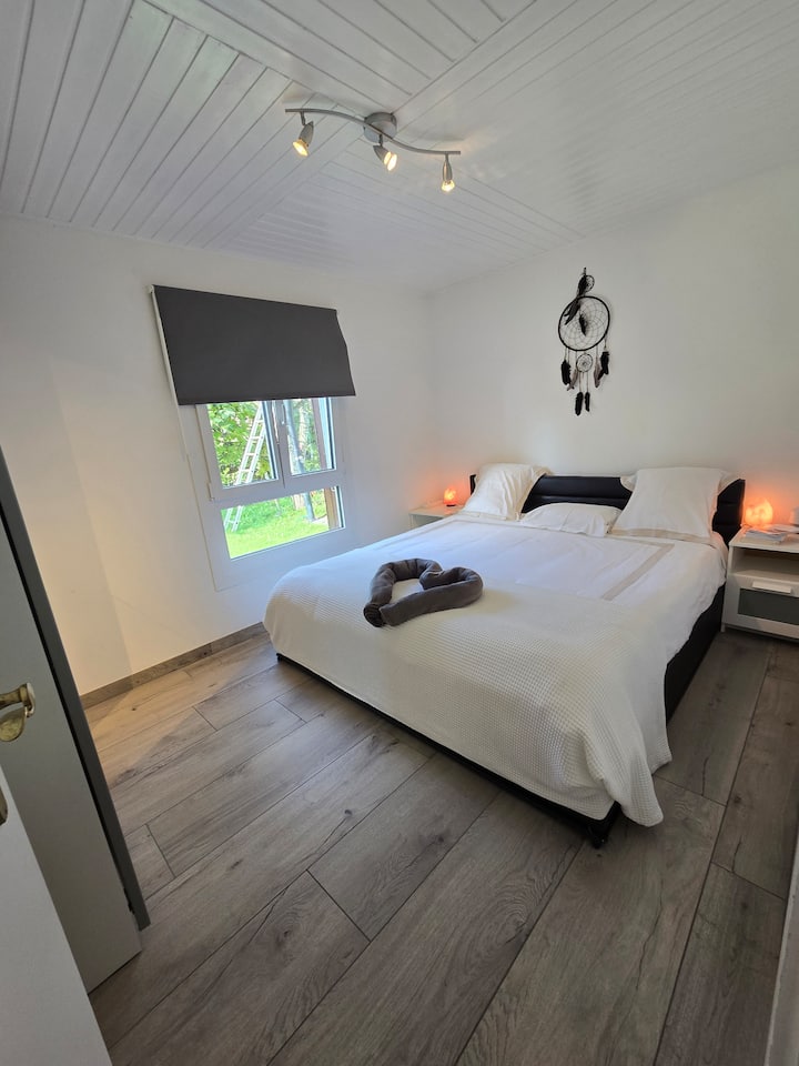 Grand Appartement Rénové • Calme • Proche Lausanne - Canton de Vaud