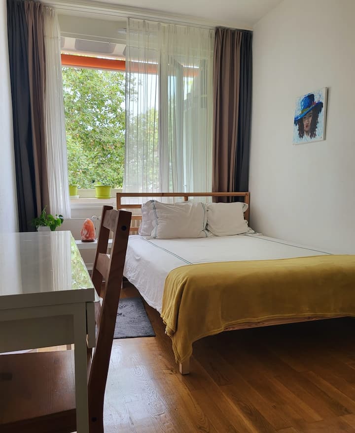 Habitación Acogedora Y Central - Ginebra