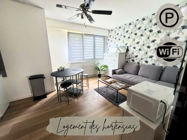 Les Hortensias - Cocon Cosy & Parking Gratuit - Haguenau