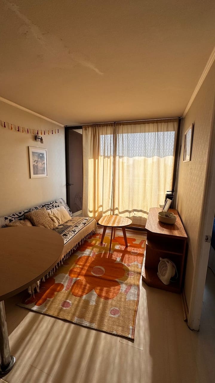 Cómodo Y Céntrico Departamento - Santiago