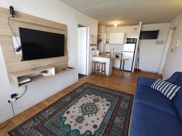 6- Apartamento En Santiago - Chili