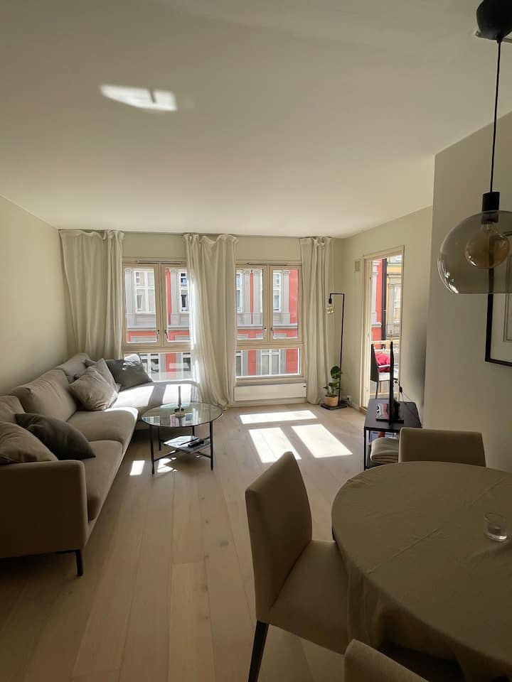 Central Apartment - Oslo