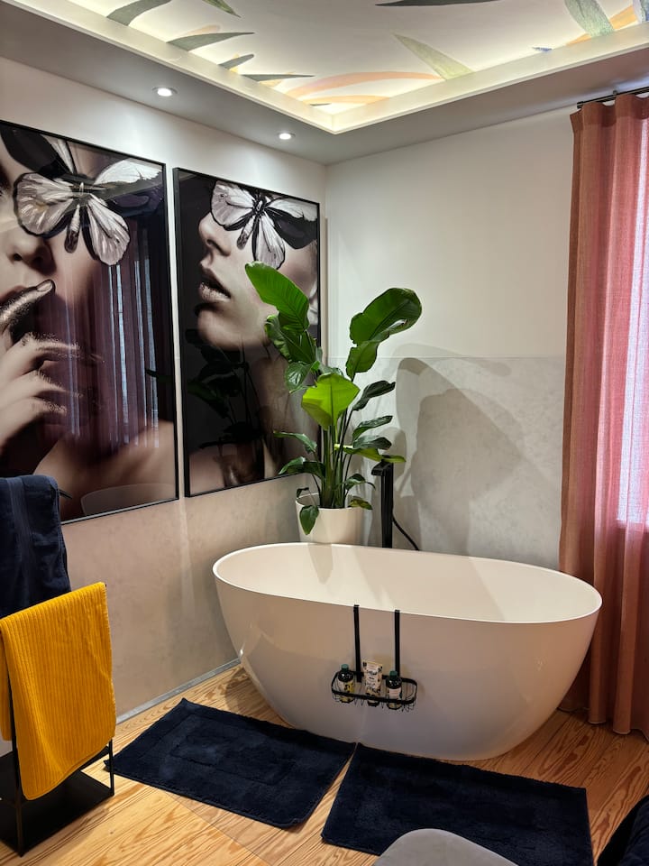 Appartement Fabuleux 100 M²/parking/climatisé - Vendenheim