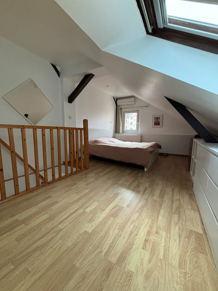 Appartement Cosy Strasbourg Centre Marché Noël - Robertsau
