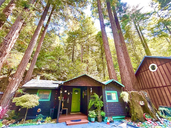 The Nest At Love Creek-santa Cruz Mountains - Davenport, CA