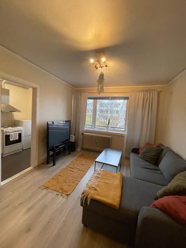 En Koselig Leilighet Med Balkong - Oslo