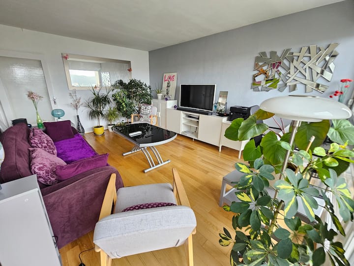 Logement Lumineux Avec Belle Vue Dégagée Sur Parc - Antony