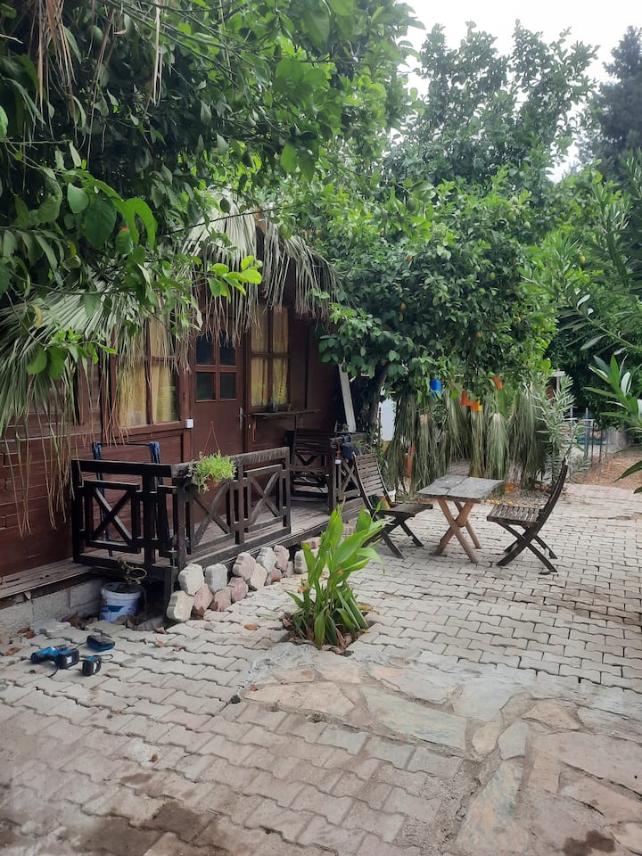 Ucuz Güvenli Bir Yer - Kemer