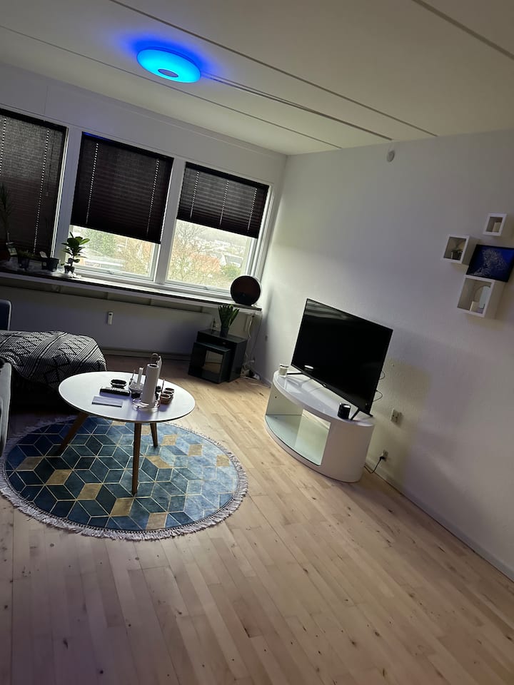 Nyt Lejlighed Til Leje - Odense