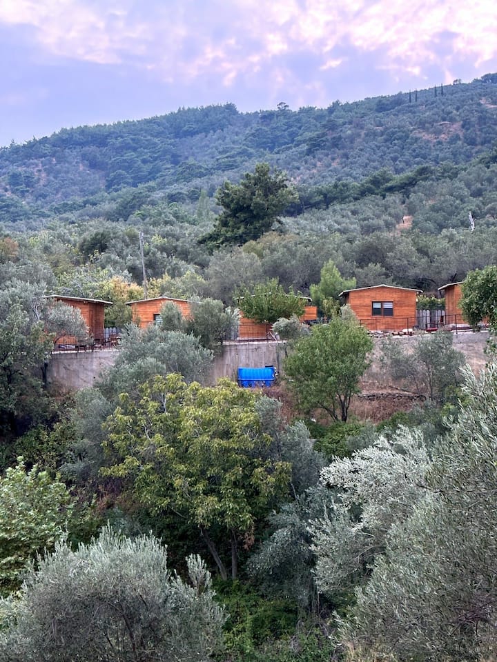 Kazdağlarında Bungalow Pansiyon - Edremit