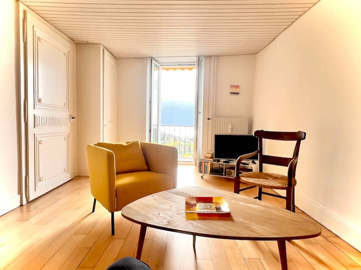 Chailly 2-zi Appt In Winzerhaus Mit Panoramasicht! - Montreux