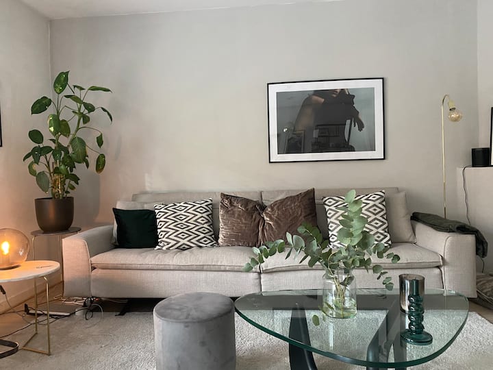 Stylish Design Apartment - Amsterdam