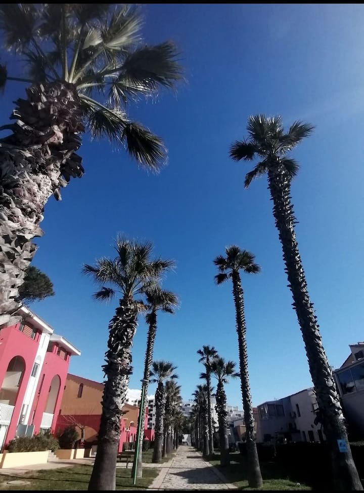Plage, Pinède A 5 Min. Appt  Pour 4.parking Privé - Le Barcarès