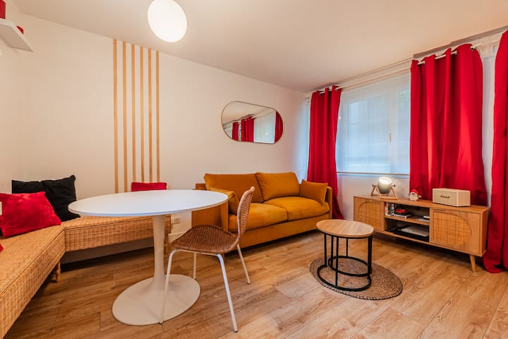 Appartement Rez De Chaussé Hypercentre Strasbourg - Strasbourg