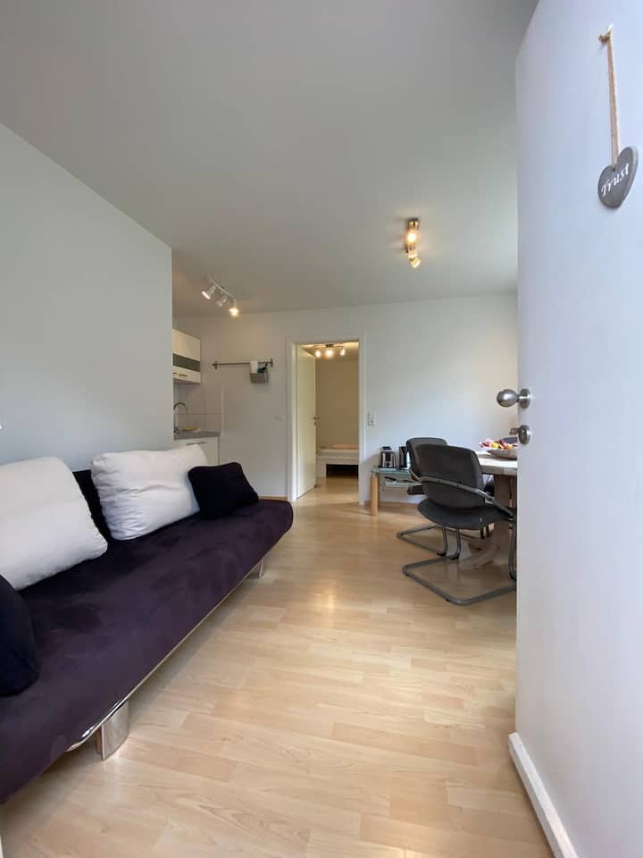 Sonniges, Ruhiges Apartment - Horben